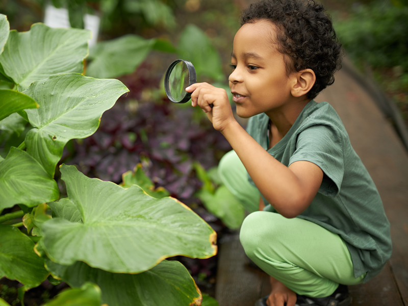 7 Ways to Raise a Natural Child – Melanie Henson Copywriting